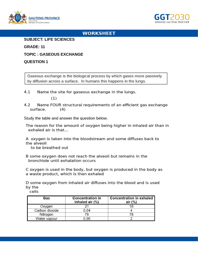 Gaseous Exchange 7 AUG 2025 Worksheet | PDF