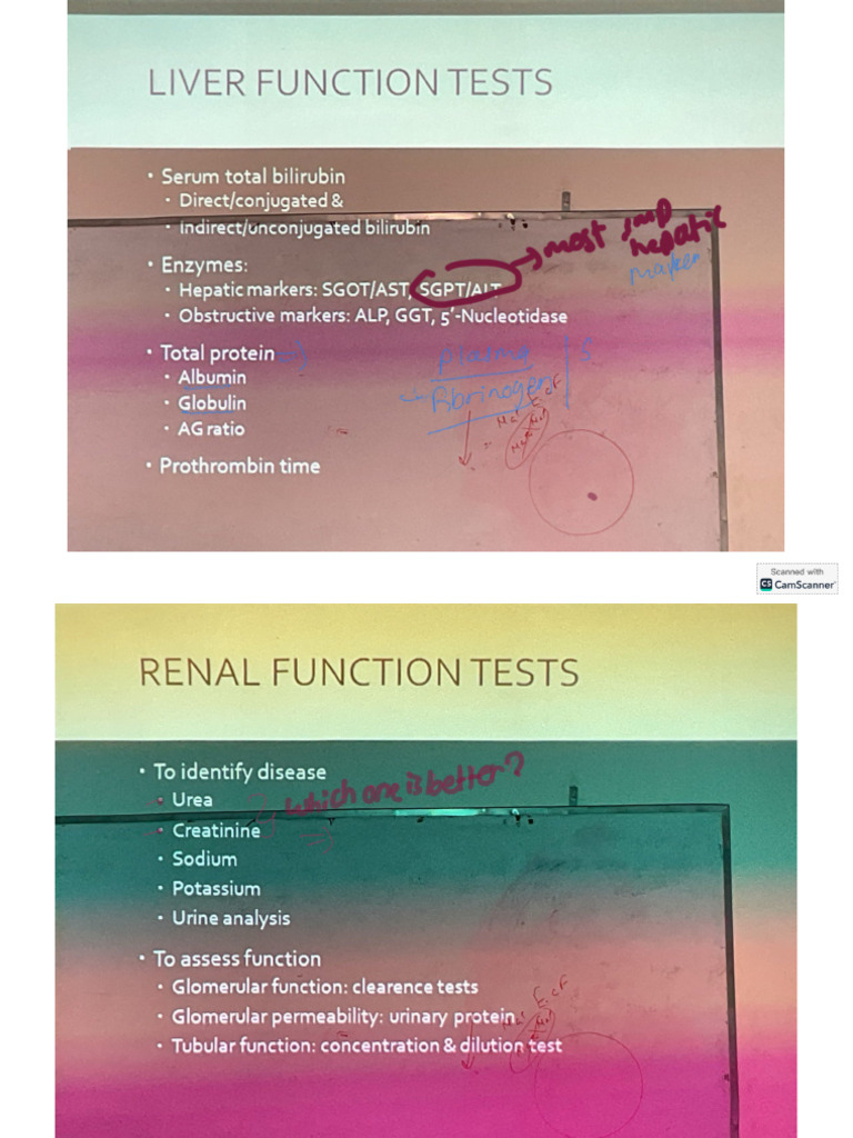 Biochemical Function Test Imp | PDF