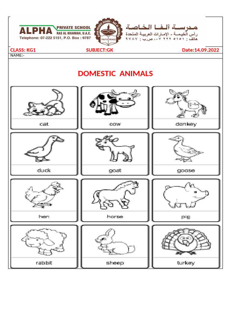 GK Worksheet Domestic Animals | PDF