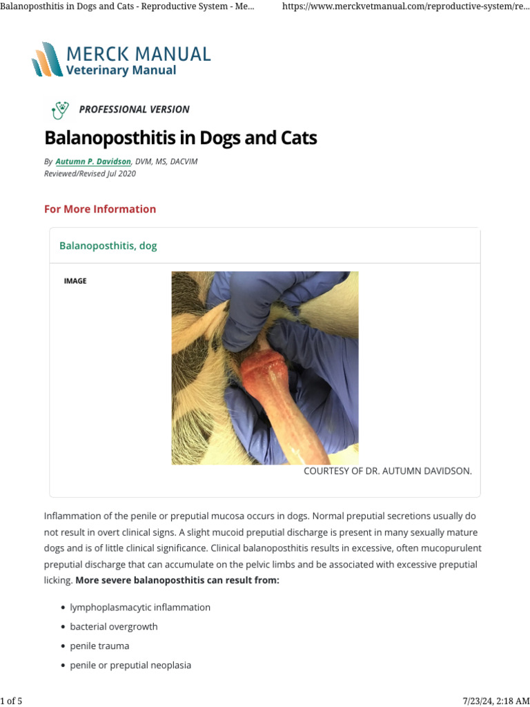 Balanoposthitis in Dogs and Cats Guide | PDF | Clinical Medicine ...