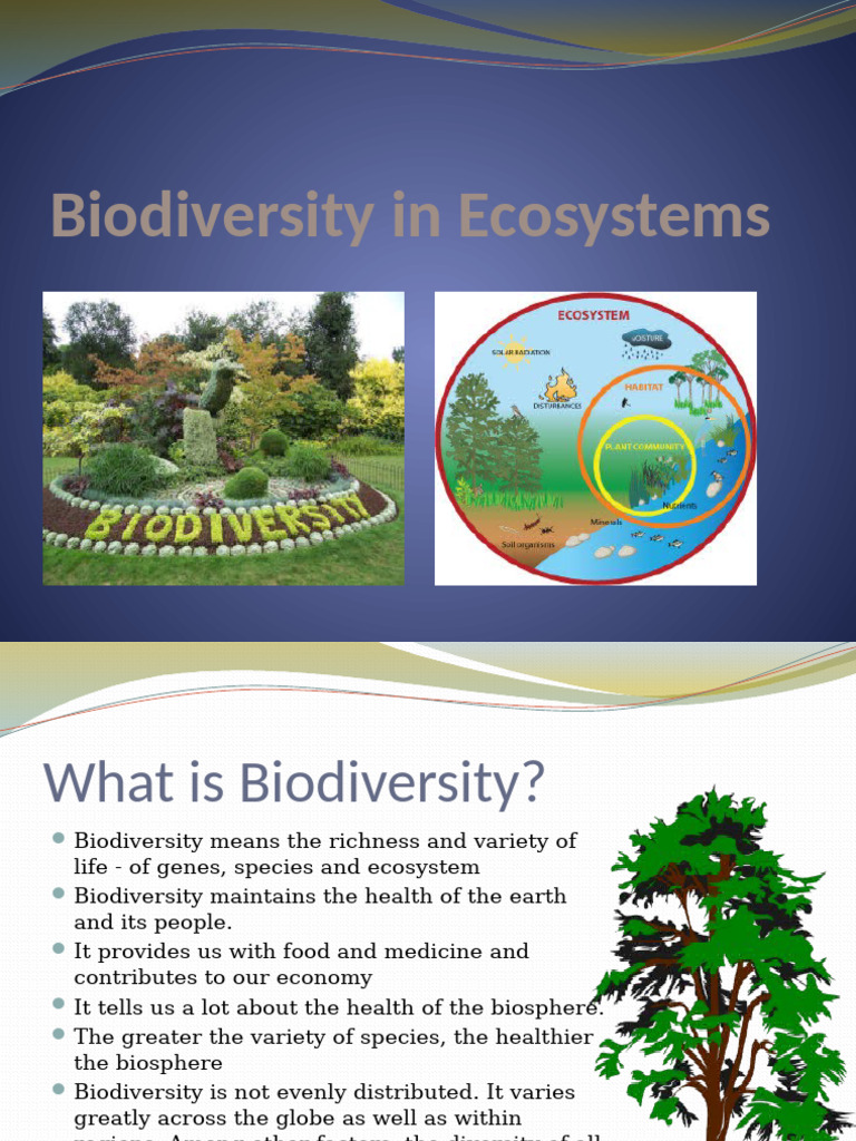 Biodiversity in Ecosystems Class 8 | PDF