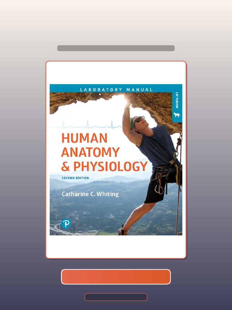 Ultimate Bundle Human Anatomy Physiology Laboratory Manual Making ...