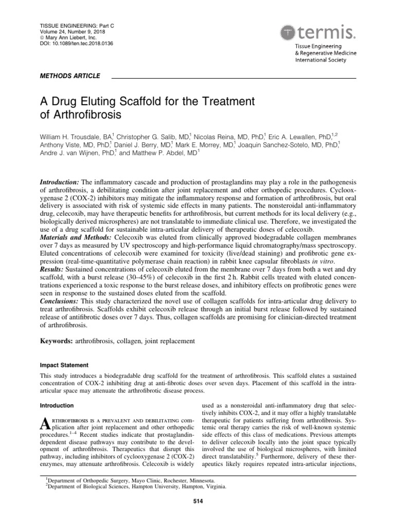 A Drug Eluting Scaffold For The Treatmen | PDF | Tissue Engineering ...
