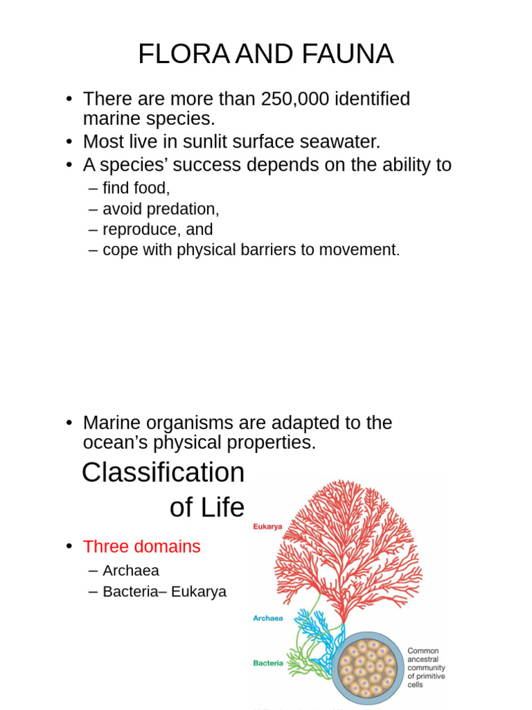 Marine Life: Classification and Adaptations | PDF | Plankton | Oceans
