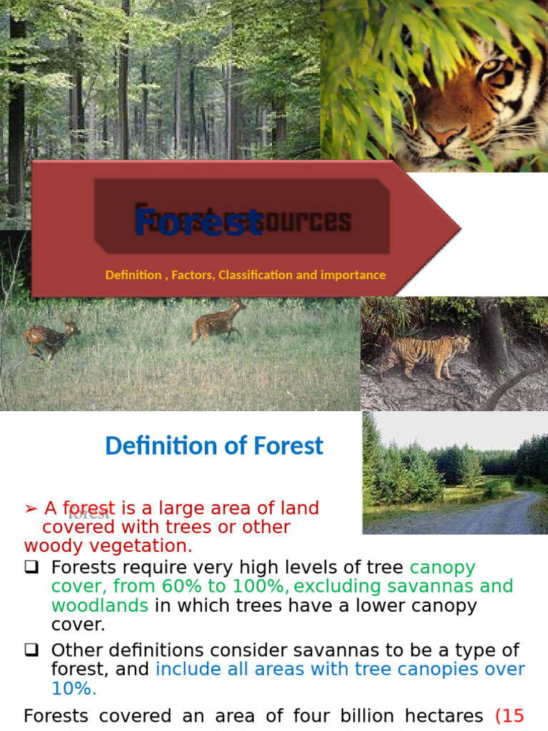 Understanding Forest Types and Importance | PDF | Forests | Mangrove