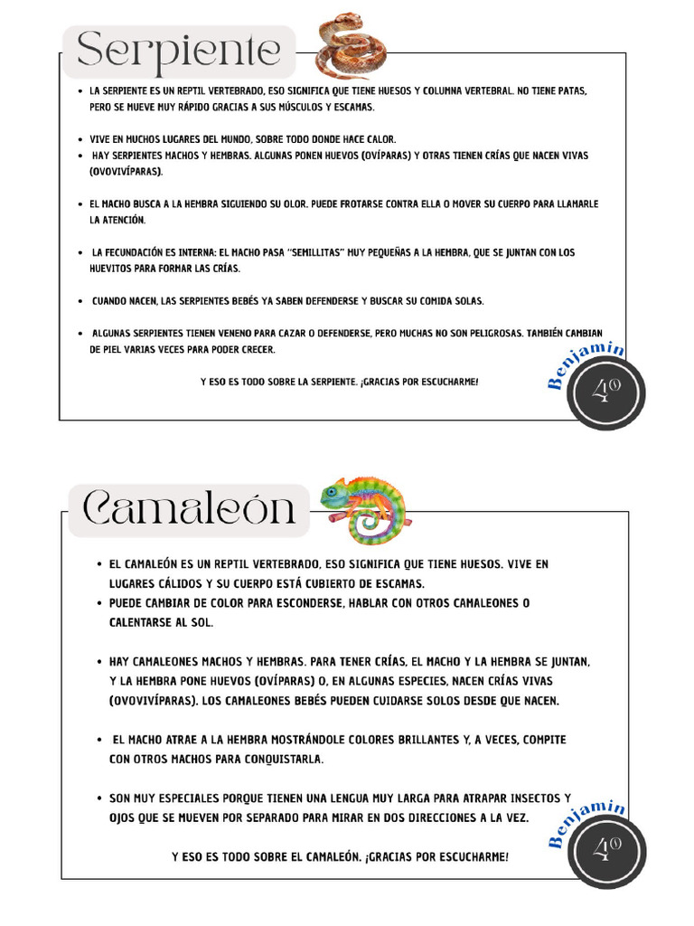 Benja | PDF