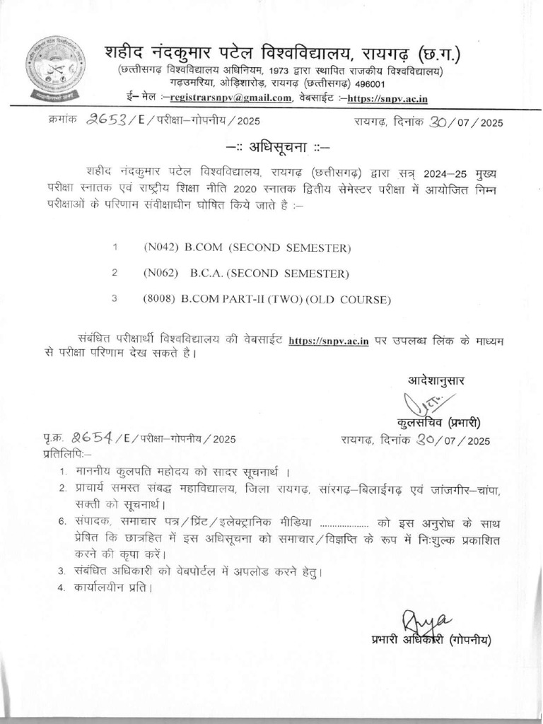SNPV 1753873443 | PDF