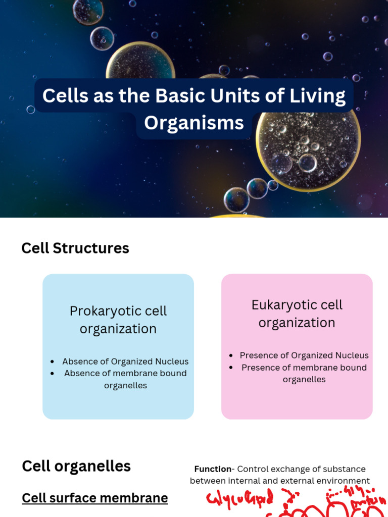 1.2 Cells As The Basic Units of Living Organisms - As Cambridge | PDF ...