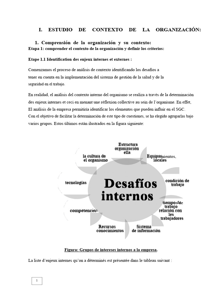 Análisis del Contexto Organizacional S&ST | PDF