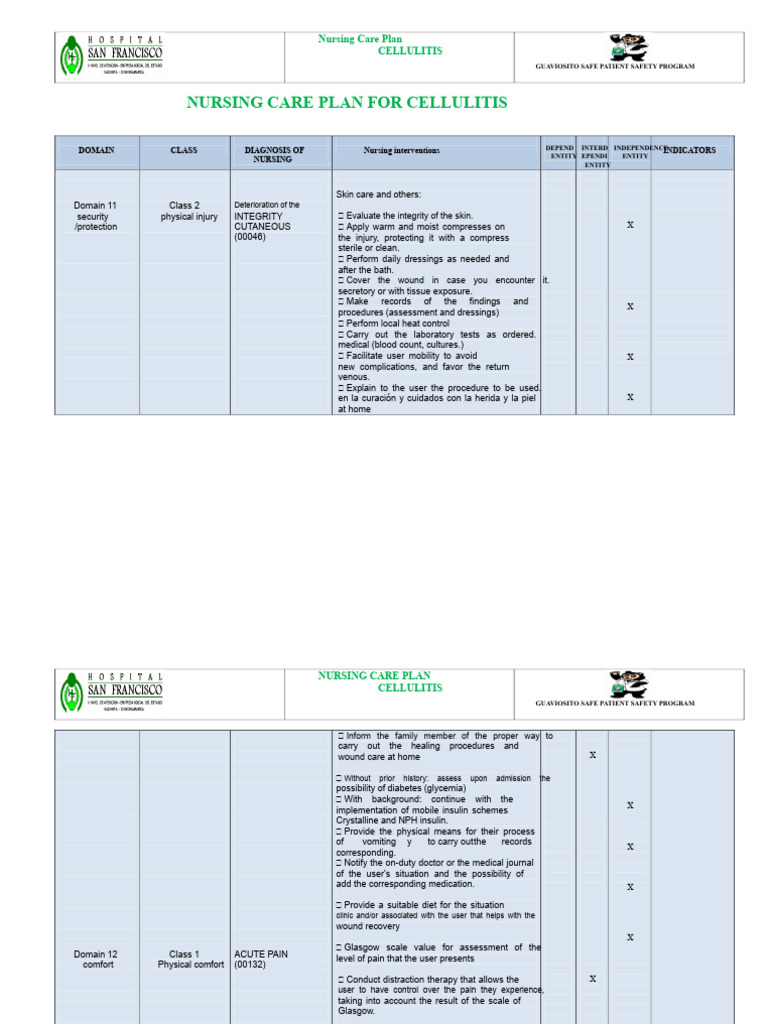 Nursing Care Plan Cellulitis | PDF | Wound | Nursing