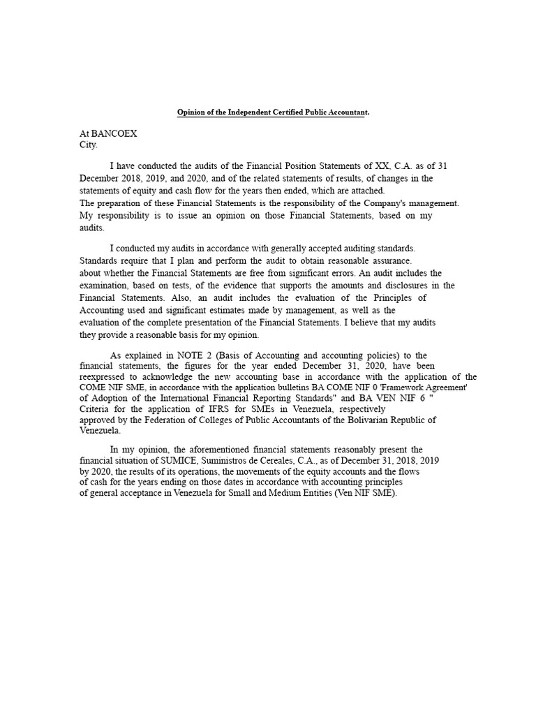 Independent Public Accountant's Opinion On API Balances | PDF