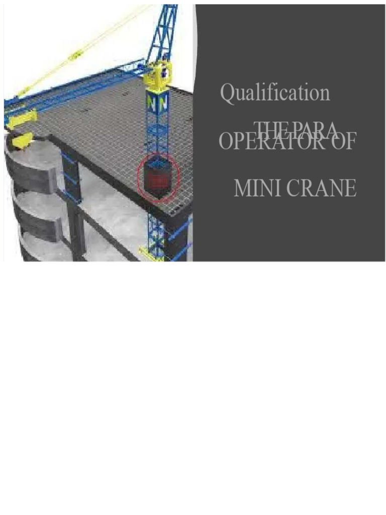 Mini Crane Operator Safety Guidelines | PDF | Relay | Mains Electricity