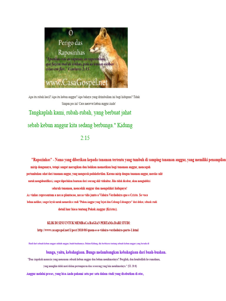 63421970 Apa itu Rubah Kecil | PDF