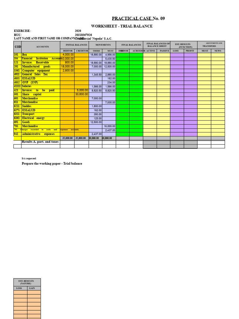 Practical Case 09-Worksheet-Trial Balance | PDF | Financial Accounting ...