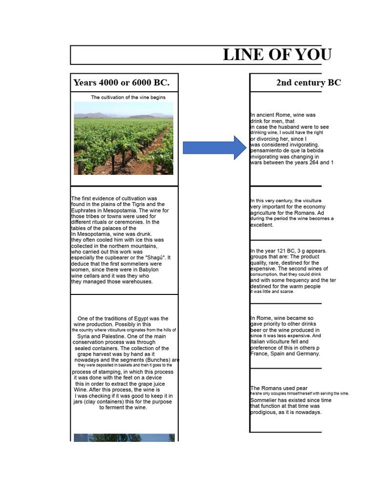 Timeline of wine | PDF | Wine | Viticulture