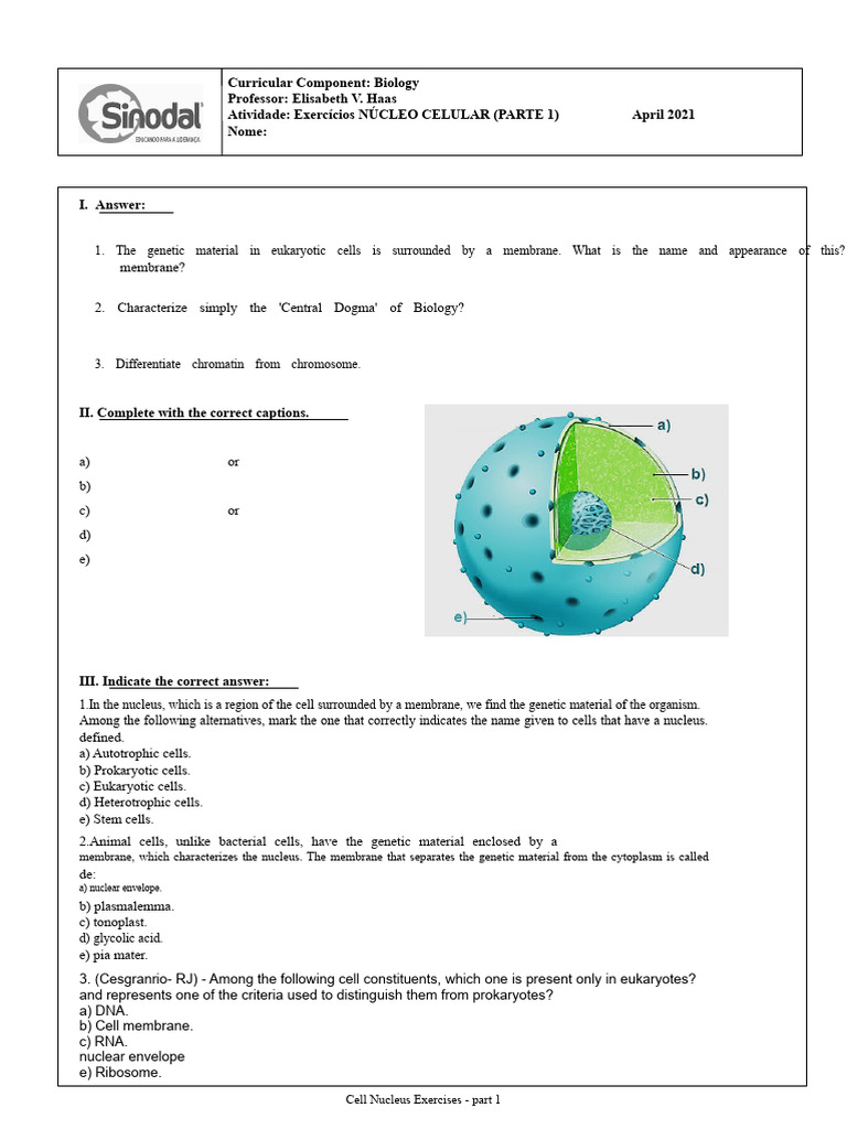 Activity 4 - 92 Nucleus Part 1 | PDF | Cell Nucleus | Cell (Biology)