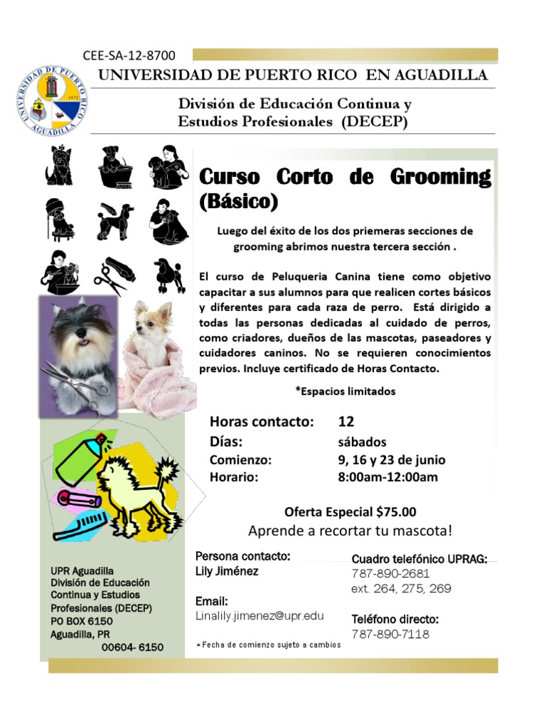 Tercera Seccion de Grooming Basico | PDF