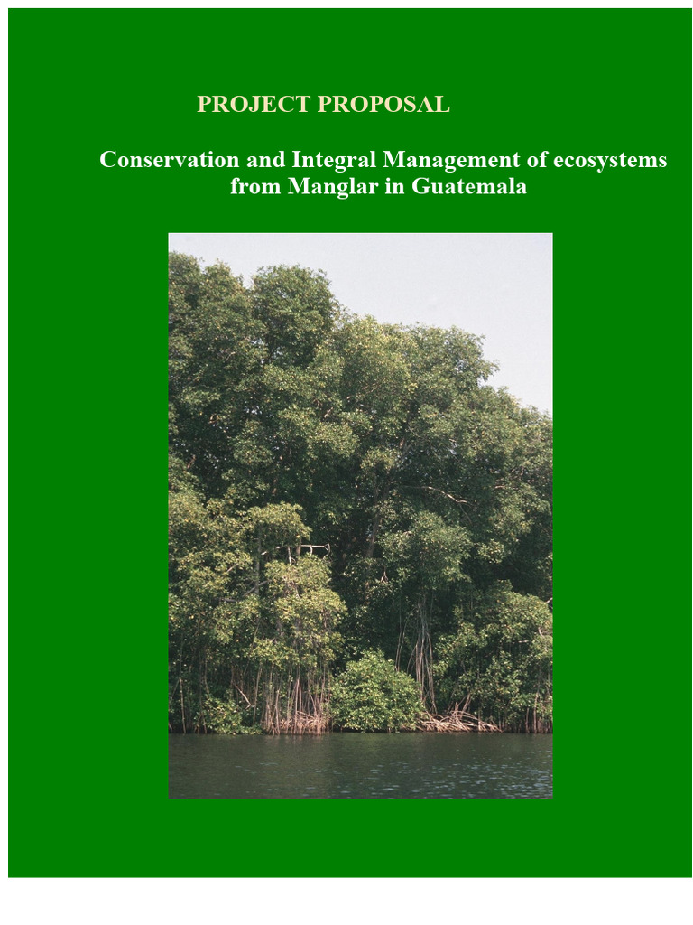 Mangroves Project | PDF | Mangrove | Coast