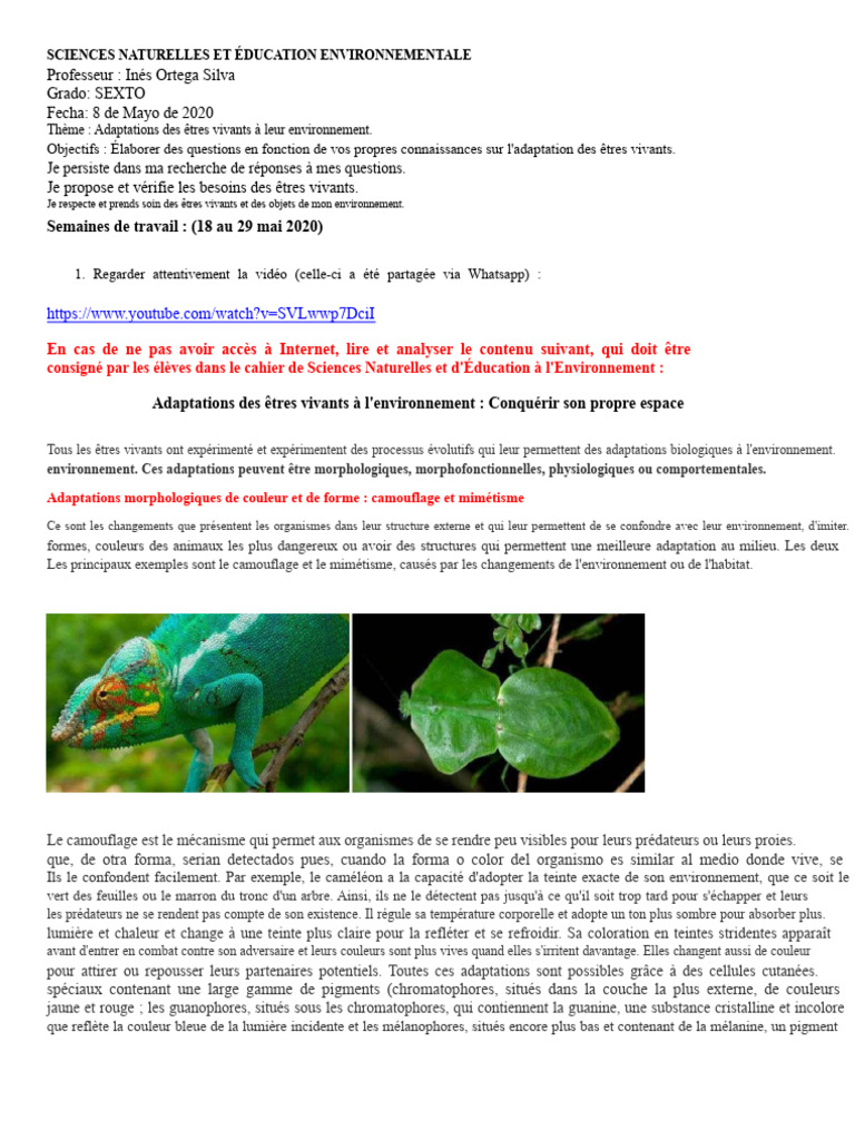 Adaptations des êtres vivants à l'environnement | PDF | Biologie | Zoologie