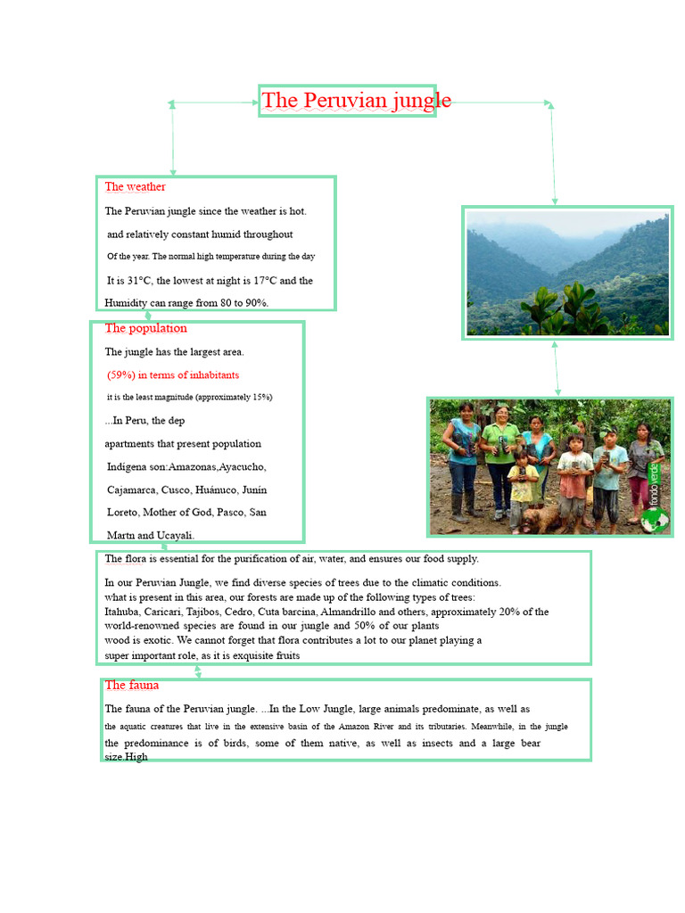 The Peruvian Jungle | PDF
