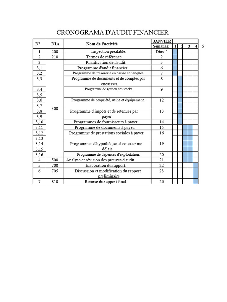 Audit Financier : Plan et Programmes | PDF | Audit | Planification