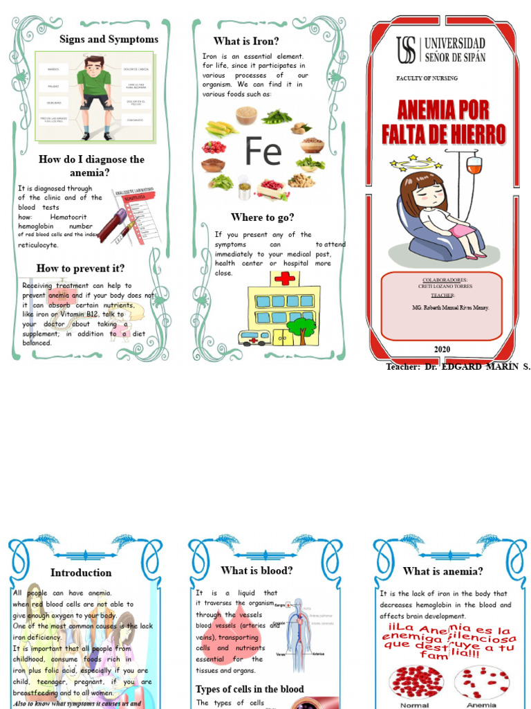 408924272-Triptych-Iron-Deficiency Anemia | PDF | Anemia | Blood