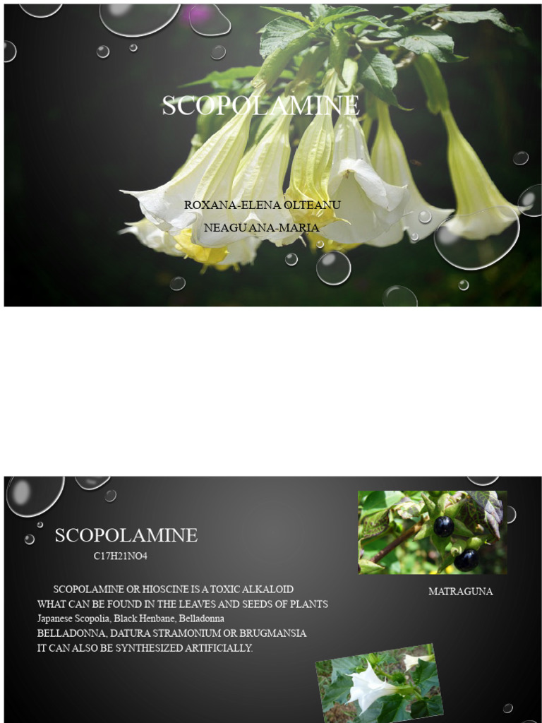 Scopolamine: Effects and Uses Explained | PDF | Drugs | Drugs Acting On ...