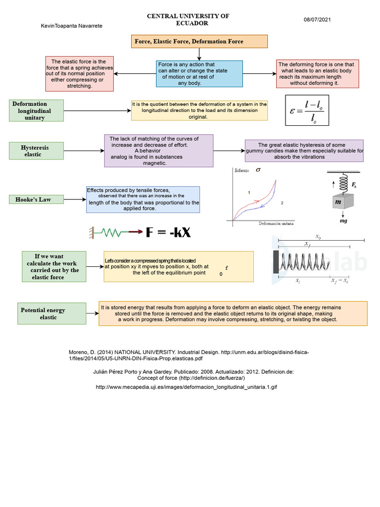 Elasticity Report | PDF | Elasticity (Physics) | Deformation (Engineering)