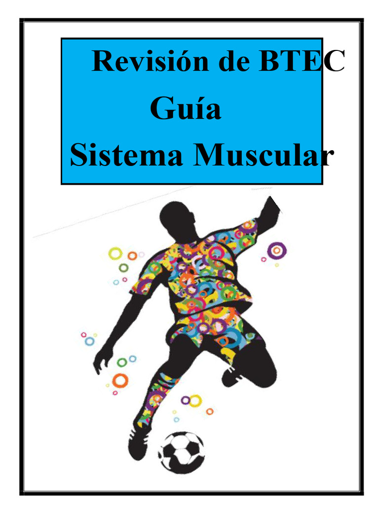 Guía de Repaso de BTEC Sport Nivel 3 Sistema Muscular | PDF | Músculo ...