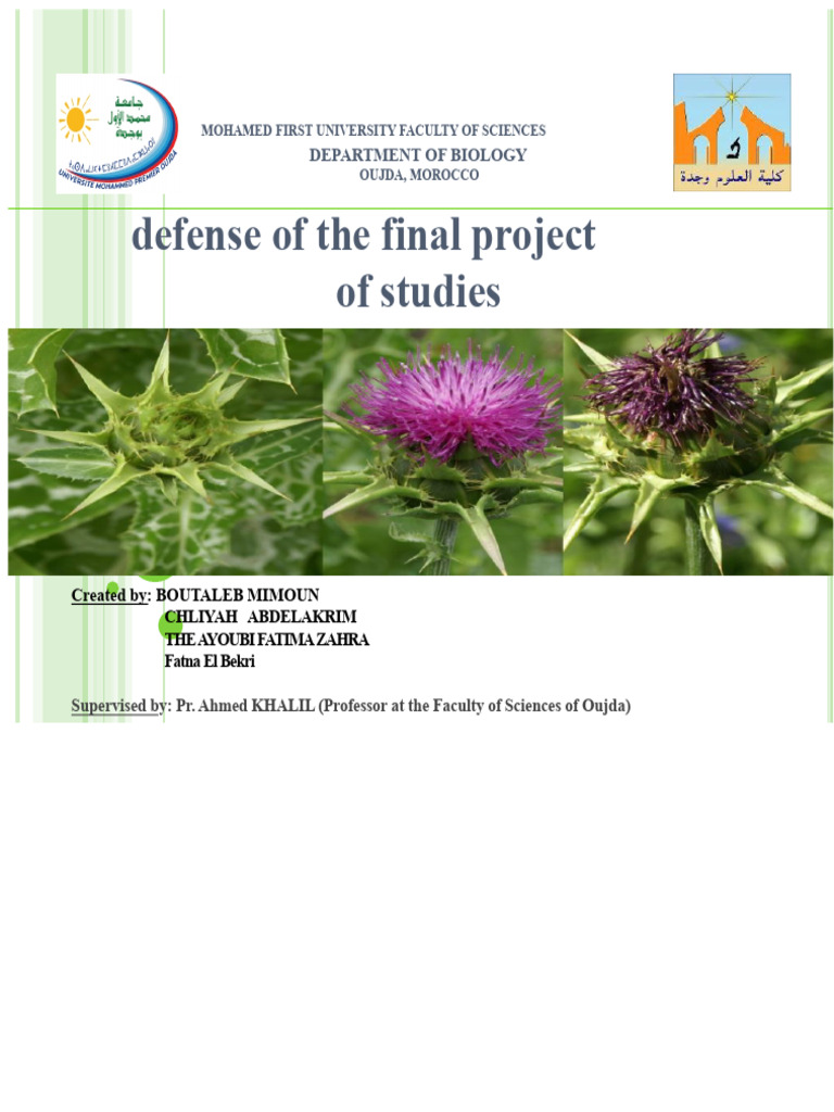 ppt-PFE-license milk thistle | PDF | Liver | Kinase