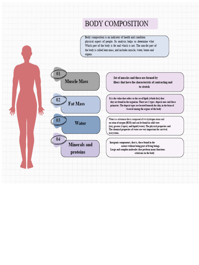 #8 Conceptual Map Body Composition | PDF