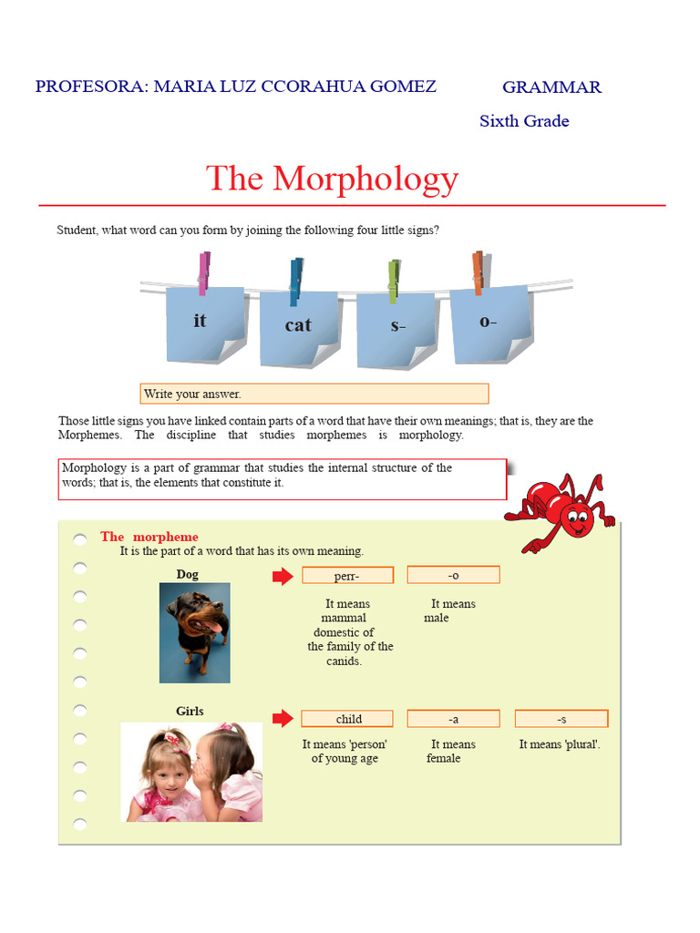 Morphology for Fifth Grade of Primary School | PDF | Morphology ...