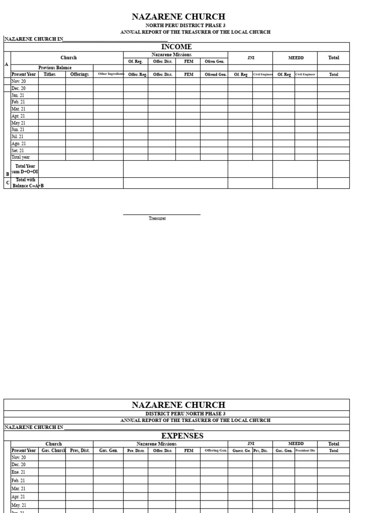 Local Treasury Report | PDF