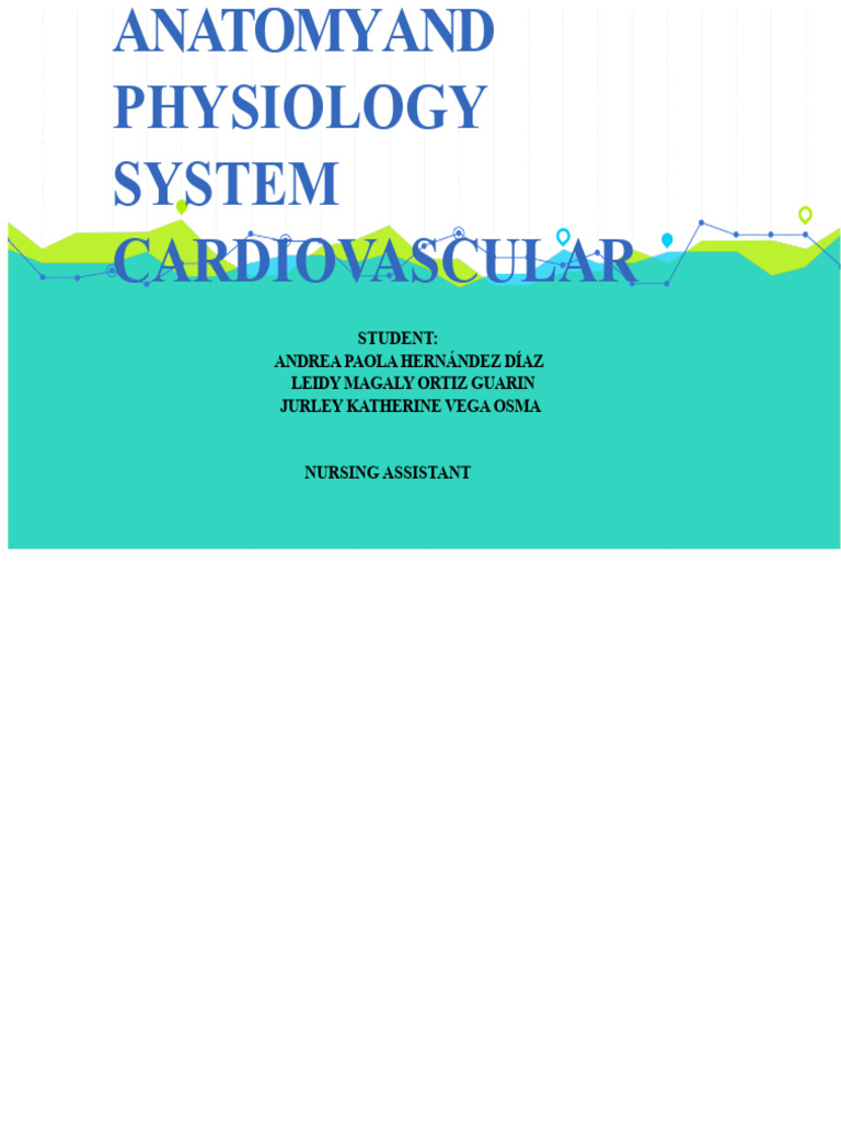 Cardiovascular System Overview | PDF | Circulatory System | Heart