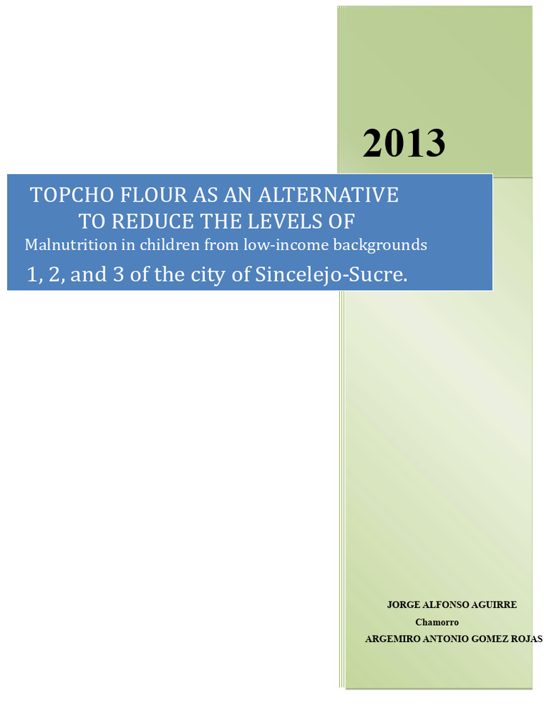 Project Methodology Topocho Flour Argemiro | PDF | Flour | Breads