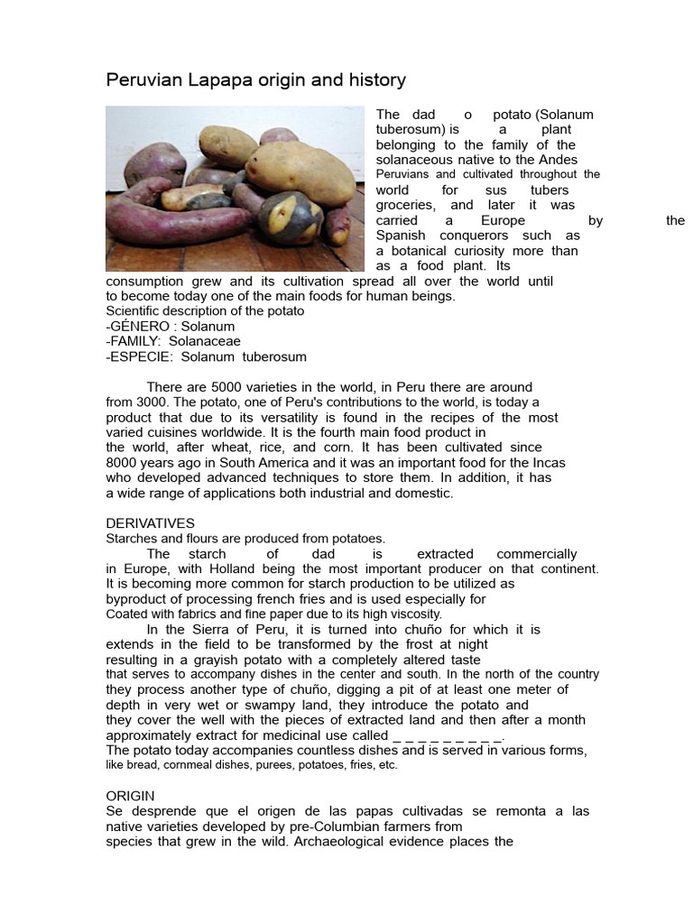 The Peruvian Potato Origin and History | PDF | Potato | Foods