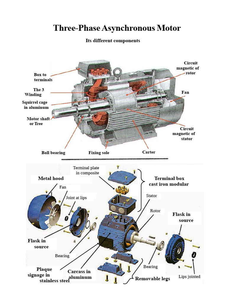 Three-Phase Squirrel Cage Induction Motor | PDF