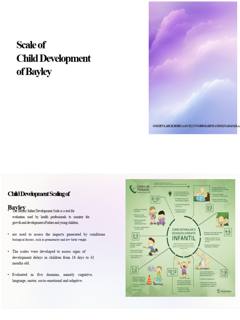 Bayley Infant Development Scale Overview | PDF | Child Development ...
