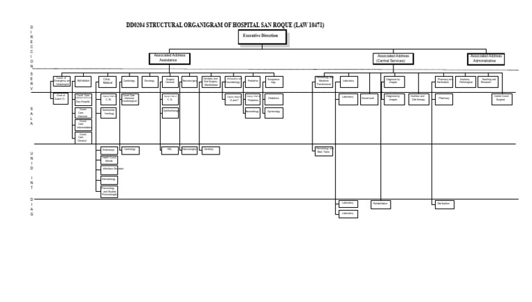 Hospital San Roque Org Chart Overview | PDF | Pulmonology | Medicine