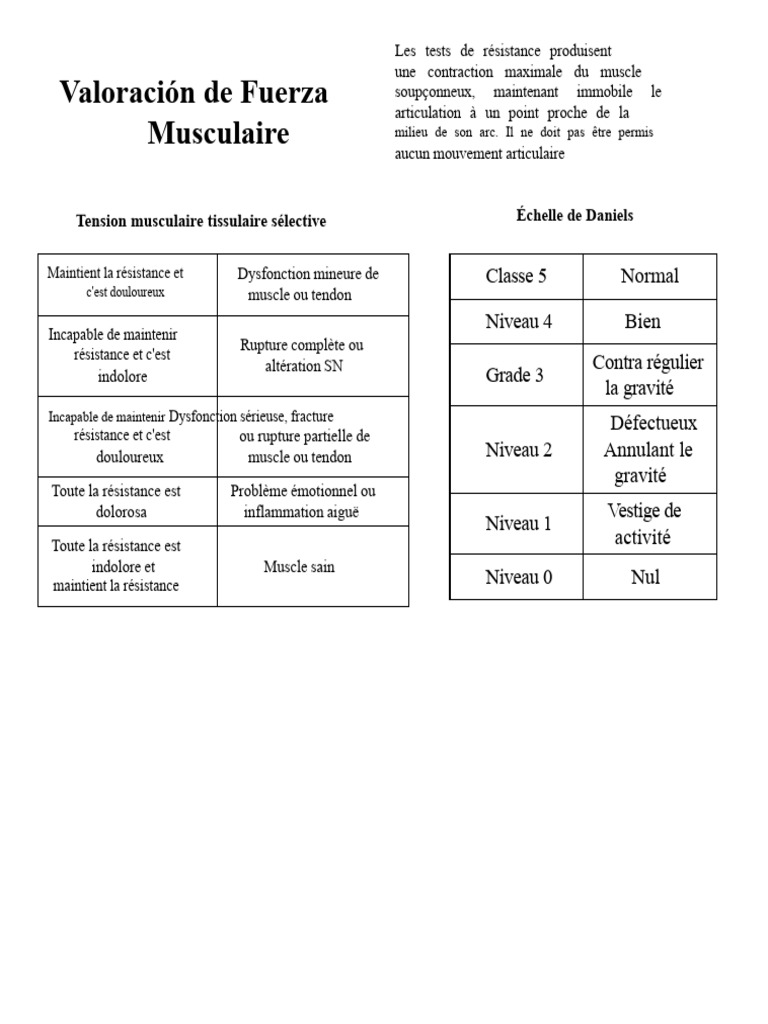 Évaluation de la Force Musculaire | PDF | Pied | Genou