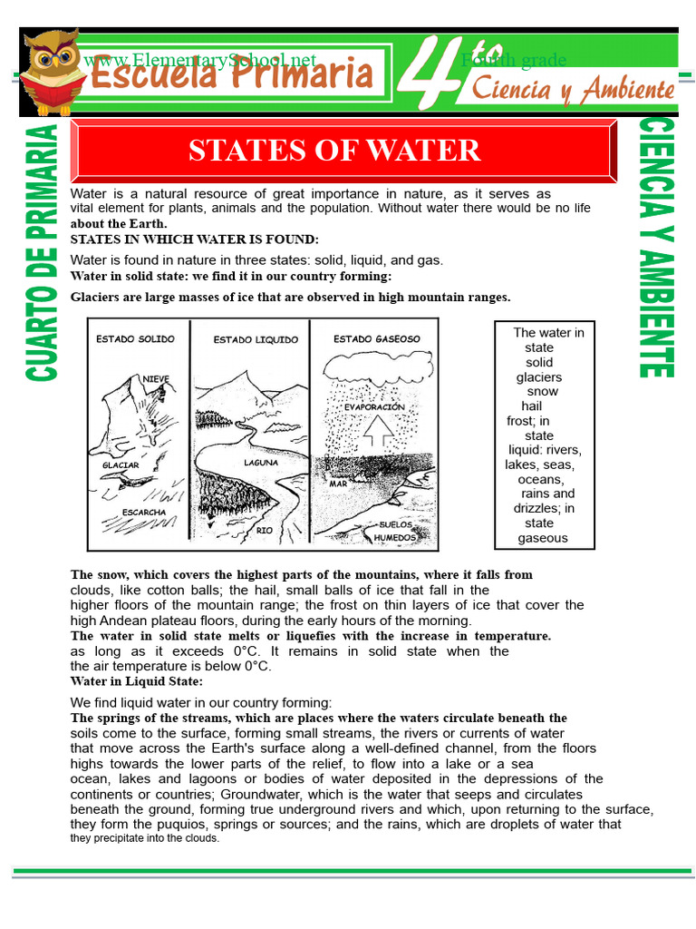States of Water For Fourth Grade | PDF | Water | Water Vapor