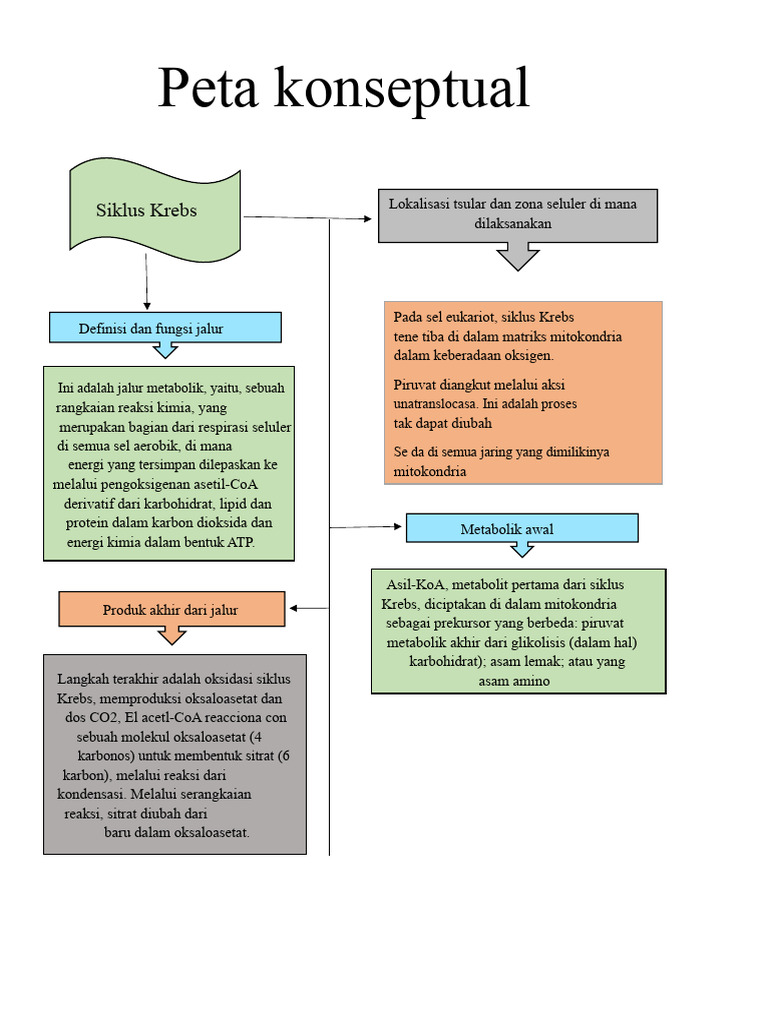 Siklus Krebs: Proses Metabolik Seluler | PDF