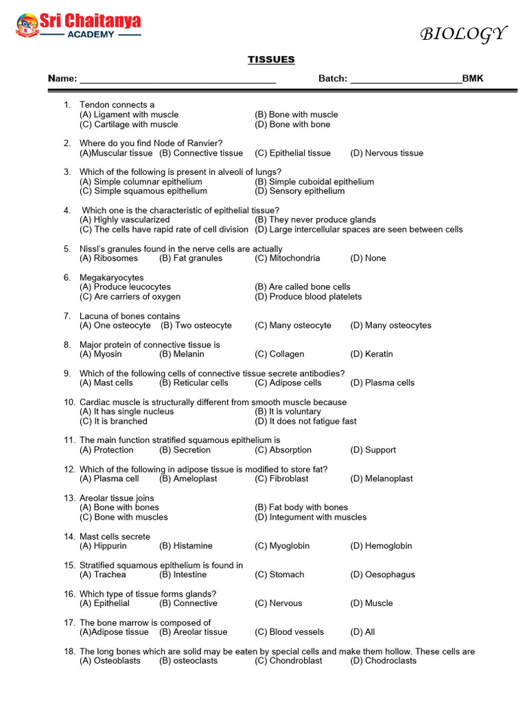 QUIZ_Tissues_BMK | PDF | Epithelium | Tissue (Biology)