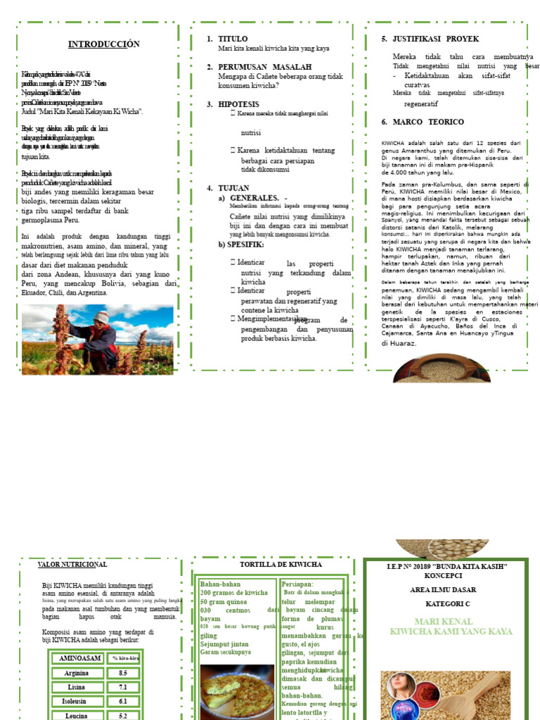 Triptik KIWICHA | PDF