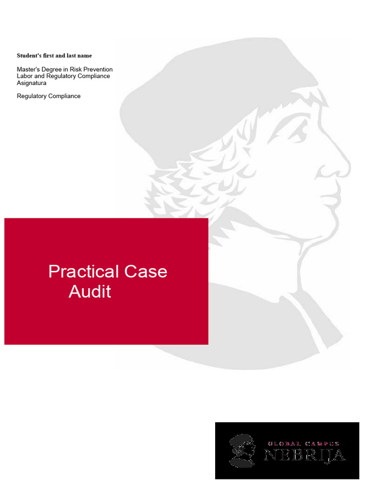 Practical case audit master in occupational risk prevention University ...