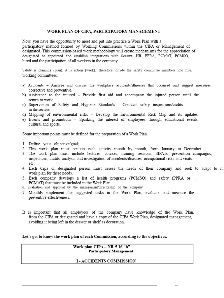 Cipa Work Plan | PDF | Occupational Safety And Health | Safety