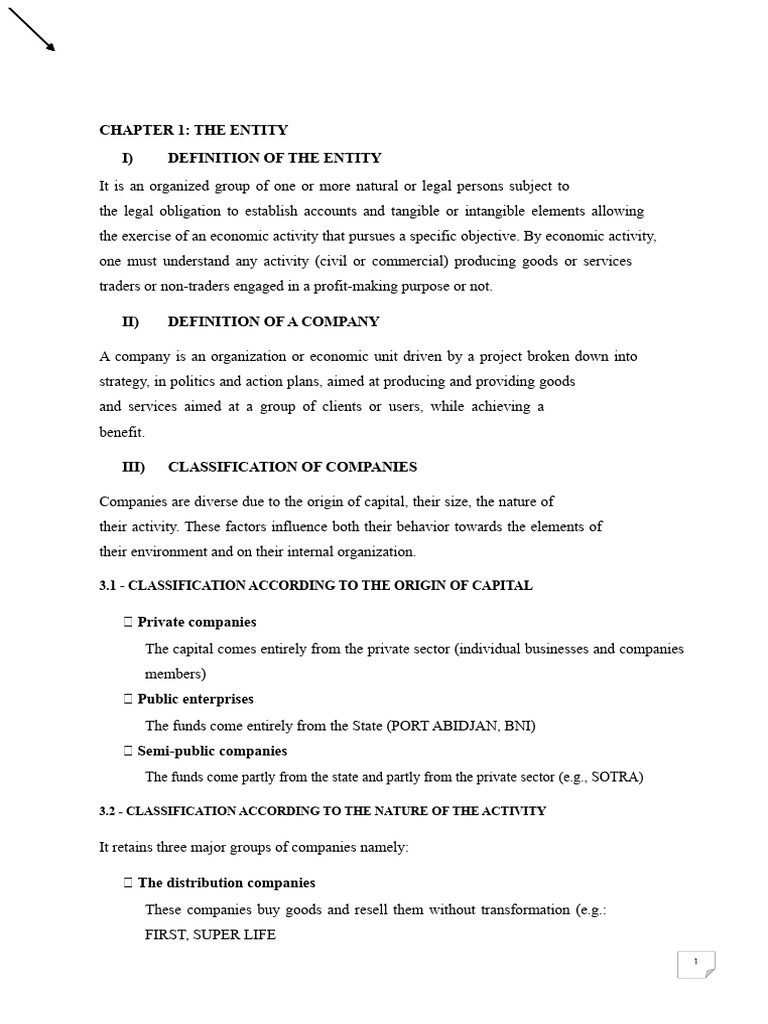 Understanding Business Entities and Companies | PDF | Debits And ...