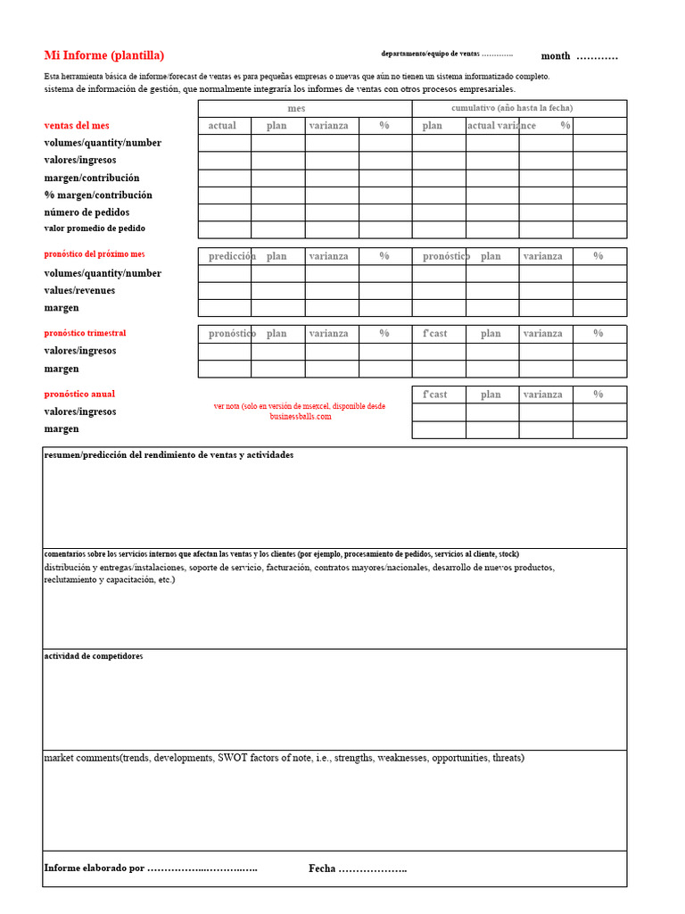 Formato de Informe Mis en Excel | PDF