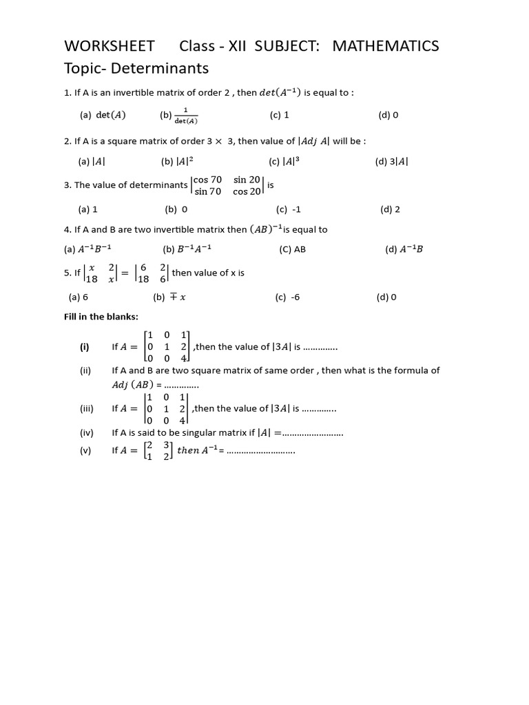 Determinants Worksheet for Class XII | PDF