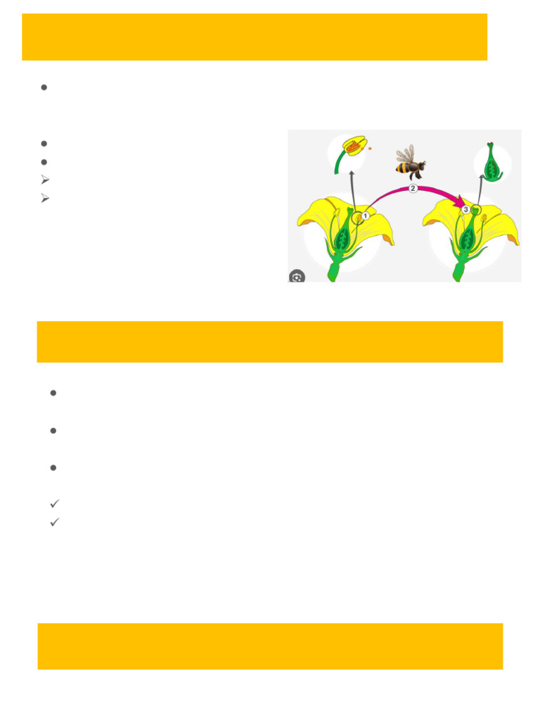 Understanding Pollination and Fertilization | PDF | Fertilisation | Botany